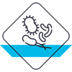 About Systemic Formulas – Systemic Formulas
