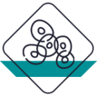 About Systemic Formulas – Systemic Formulas