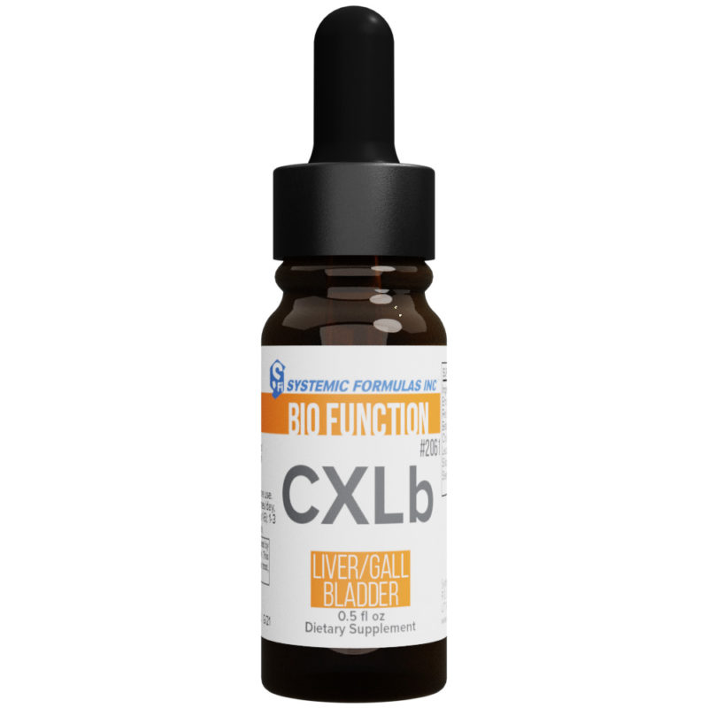 CXLb Liver/Gall Bladder – Systemic Formulas