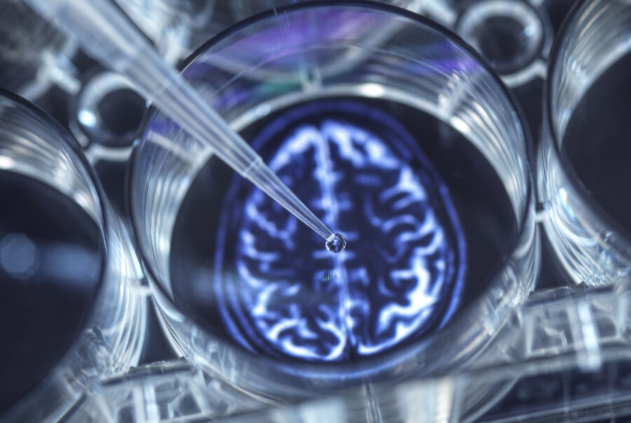 Systemic Formulas – Practitioner Resources