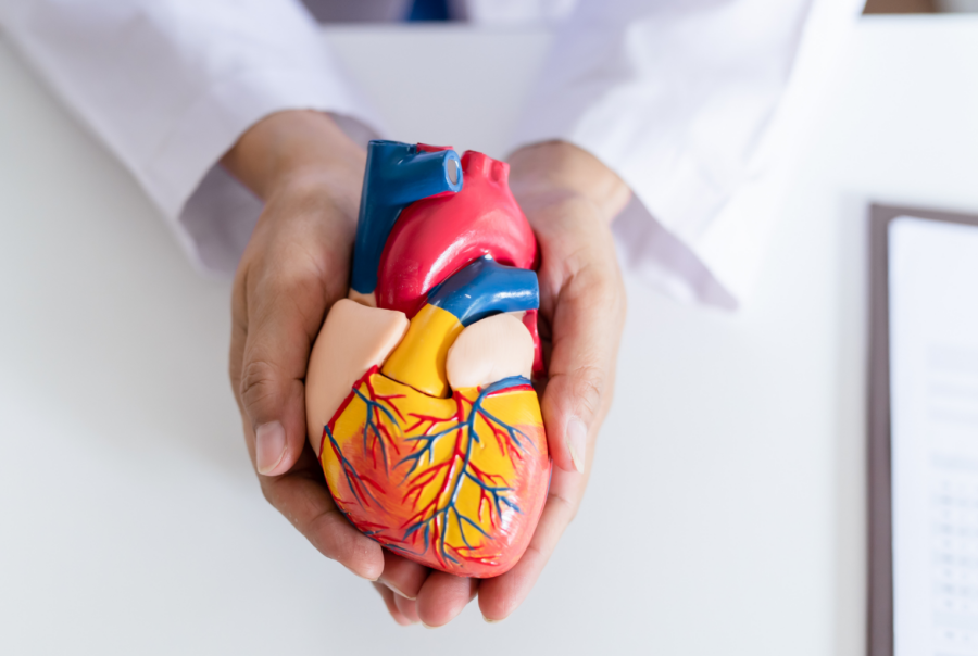 Systemic Formulas – Practitioner Resources